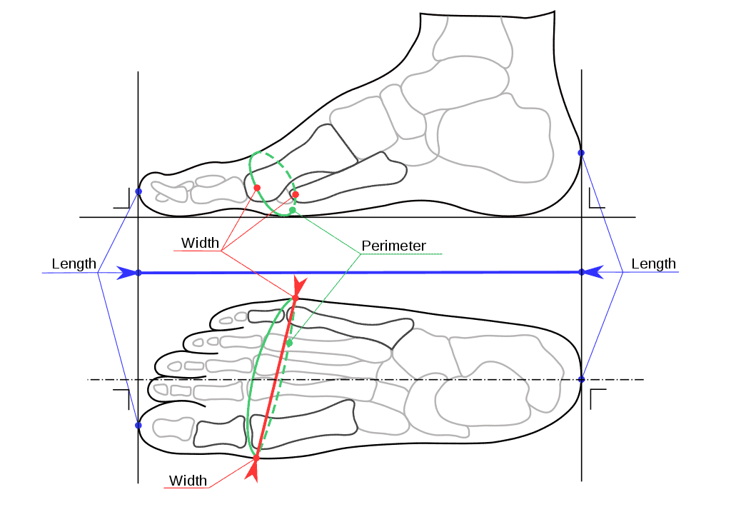Sizing Is The Most Valuable Guide To Footwear Design